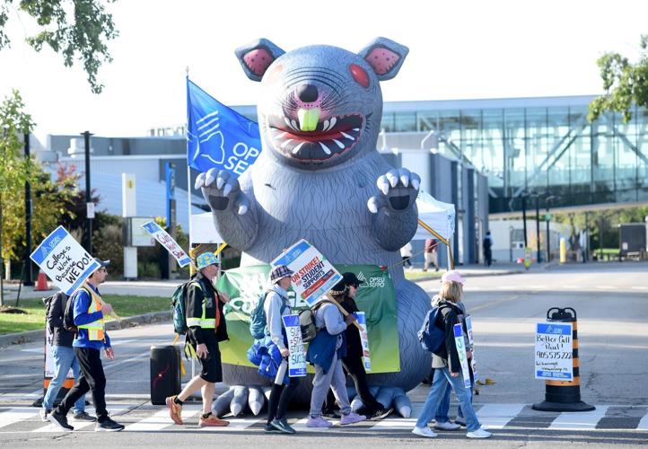 Classes cancelled at Mohawk College as support staff picket