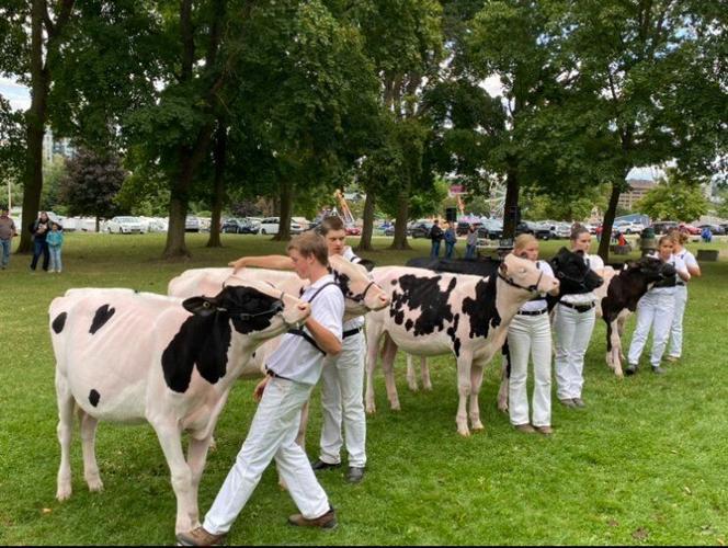 Fall fairs offer nostalgia, animals and deep-rooted gifts