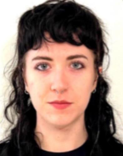 Hamilton, Toronto police search for missing woman in Dundas