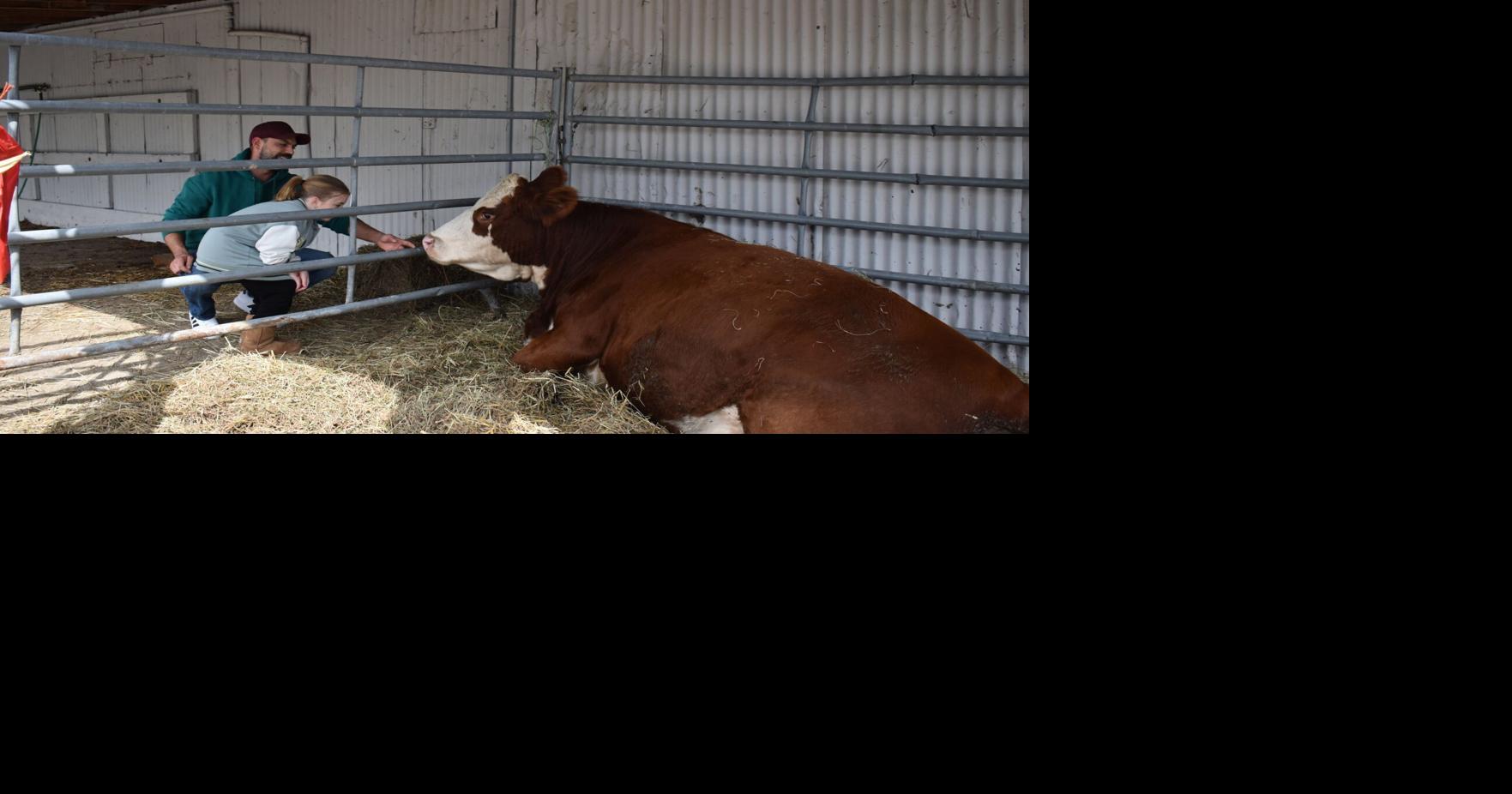 151 years of the Caledonia Fair