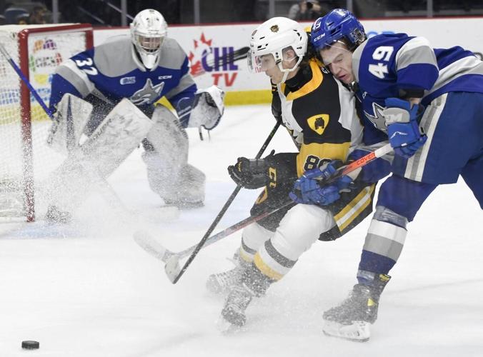 Sudbury to Hamilton Bulldogs to Team Canada