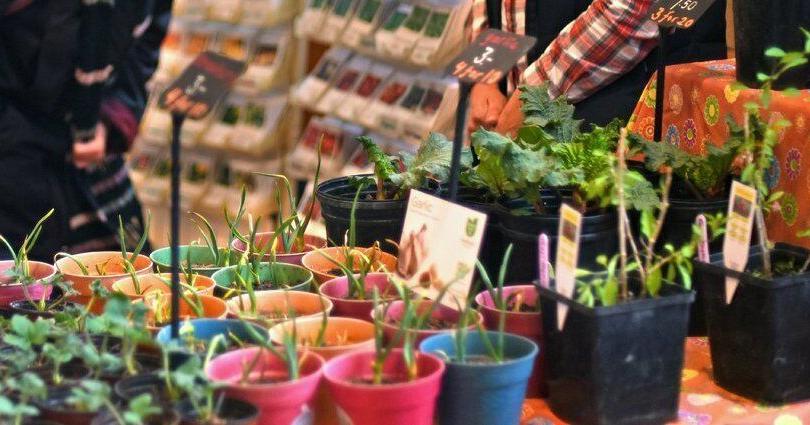 Green Venture's Seedy Saturday returns in Hamilton