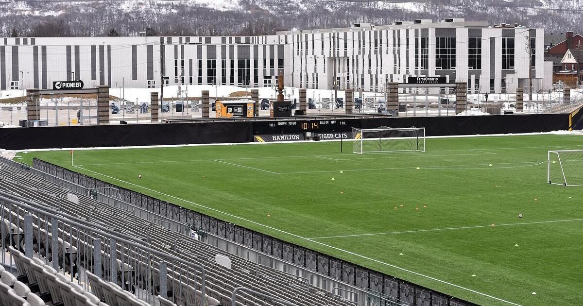 Some good field news at last for Bernie Custis Secondary athletes