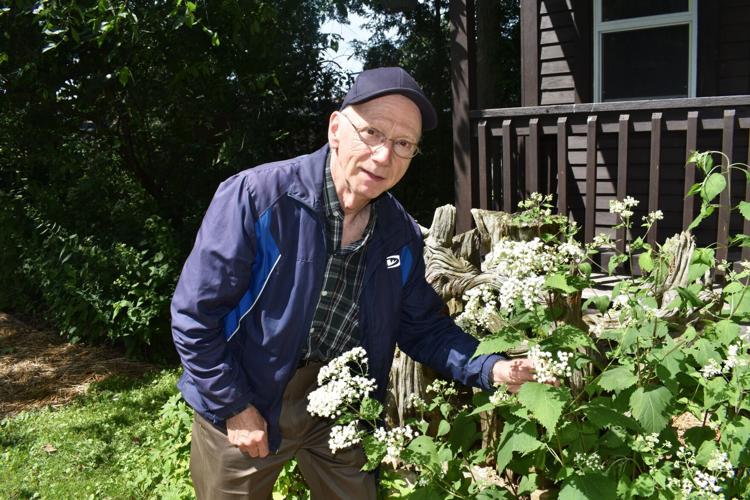 South Hamilton Mountain residents love their native garden