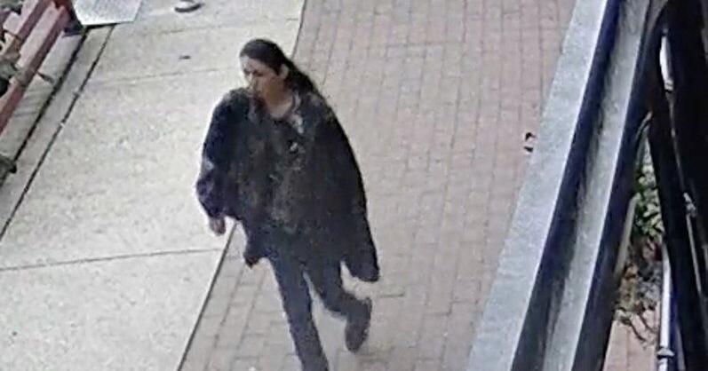 Police release photo of suspect in multiple Vancouver stabbings