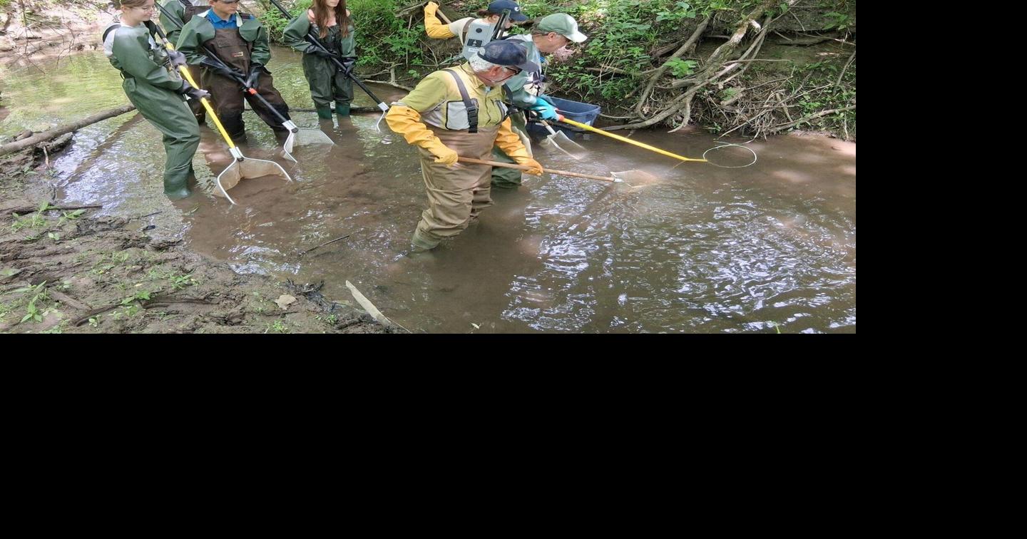 Electro-fishing survey engages students in trout research