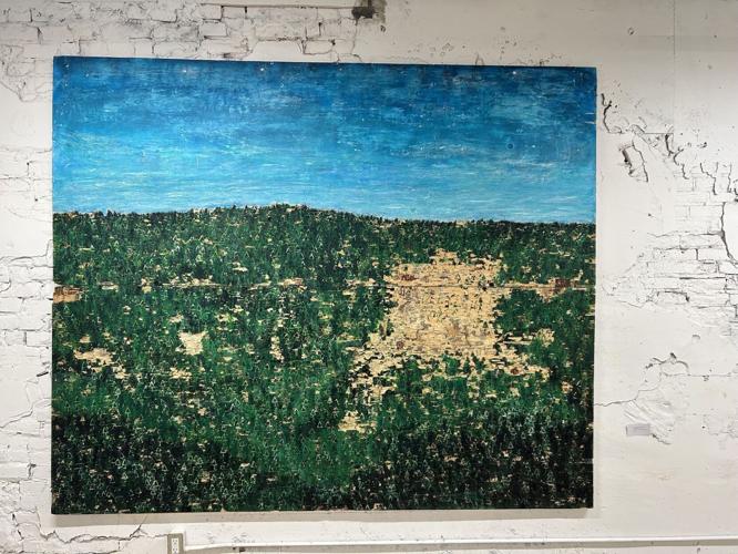 Hamilton art exhibit highlights ecological devastation