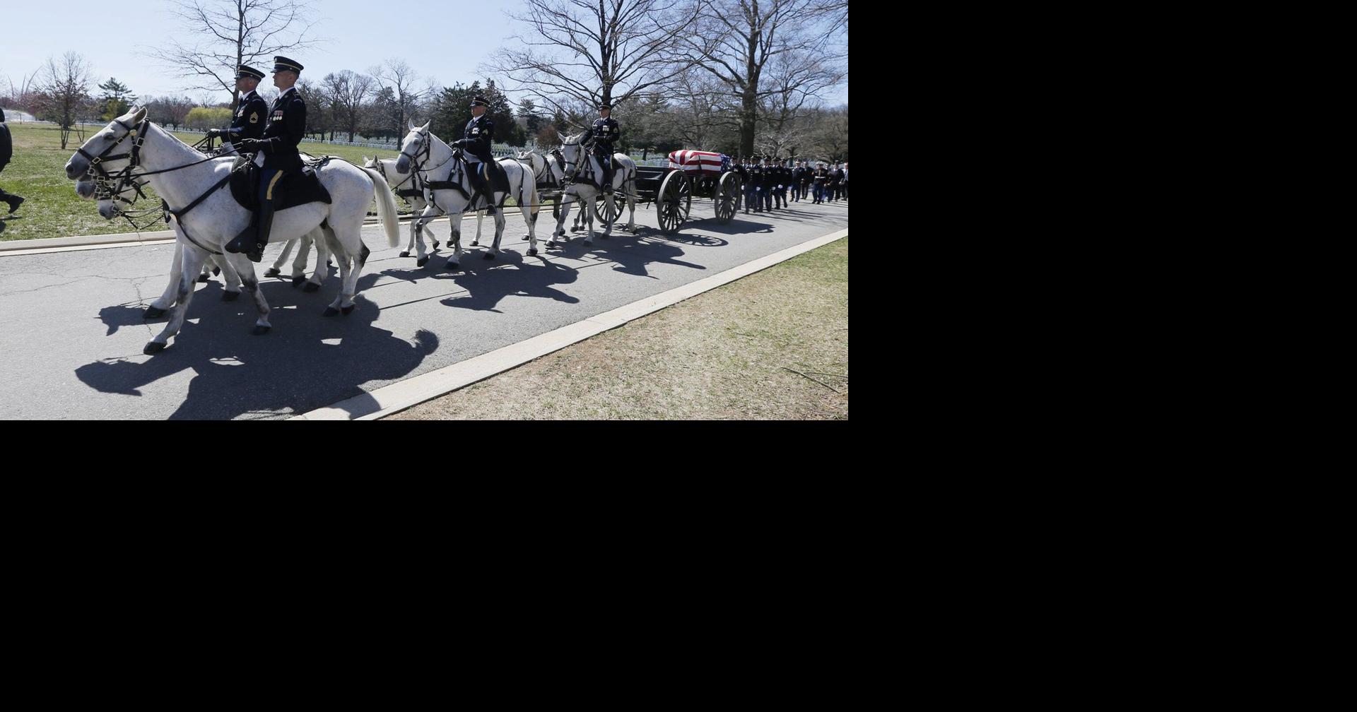 Army to begin limited use of horse-drawn caissons for Arlington ...