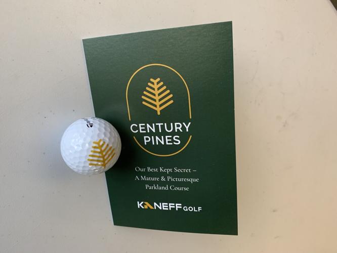 THE PRO'S TOUR: Century Pines near Hamilton rewards accuracy over distance