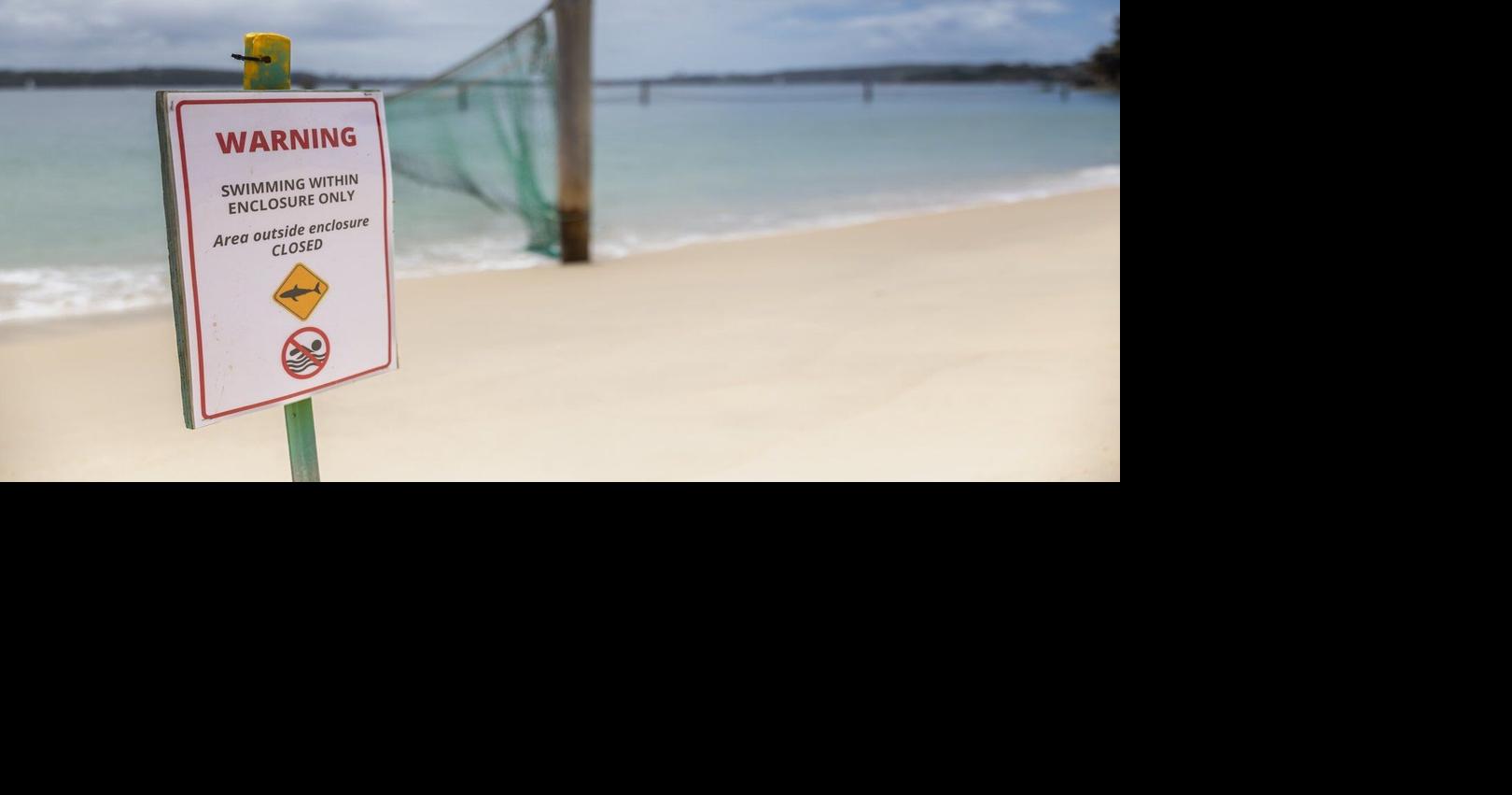 Man and boy critical after three shark attacks in Sydney in just over ...