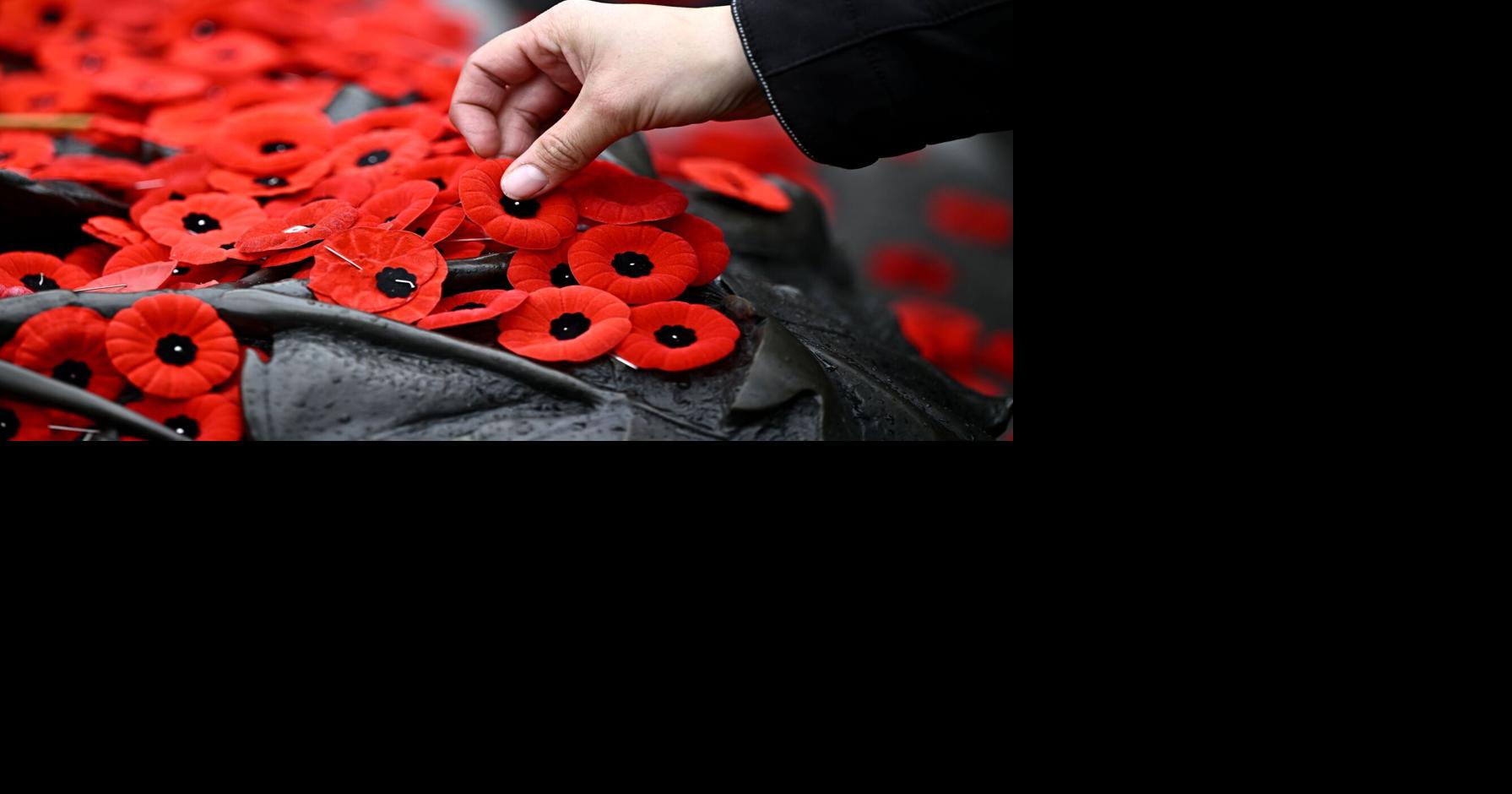 Nov. 13: Courtroom poppy ban stirs debate and other letters