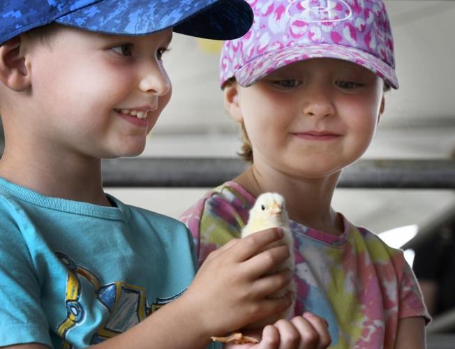 Binbrook Fall Fair