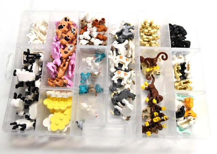 Hamilton father and daughter compete in Lego reality show