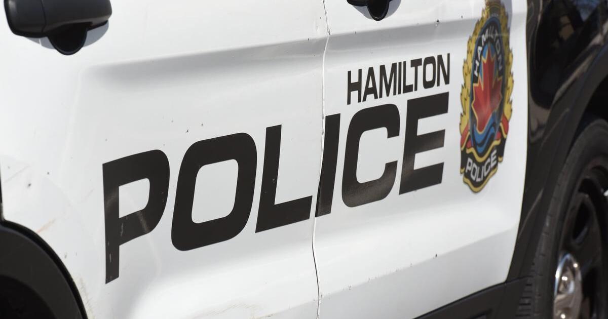 One suspect alleged to be behind two-day ‘random’ stabbing spree that ...