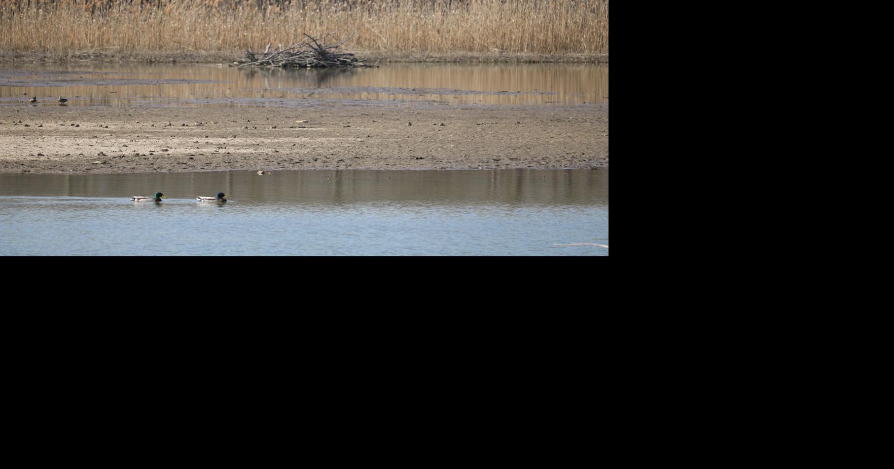Saltfleet Conservation Area set to add second wetland