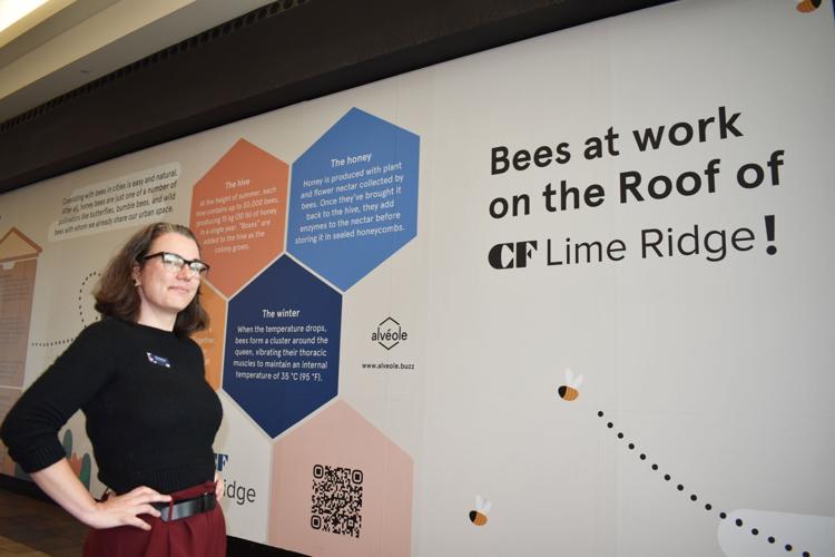 Beekeeping on the roof at CF Lime Ridge on Hamilton Mountain