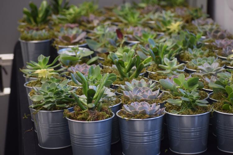 Mohawk College’s City School launches second mobile classroom in Ancaster