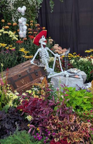 Dive into the mum show