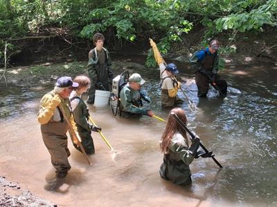 Brant for Nature leads D’Aubigny Creek protection campaign