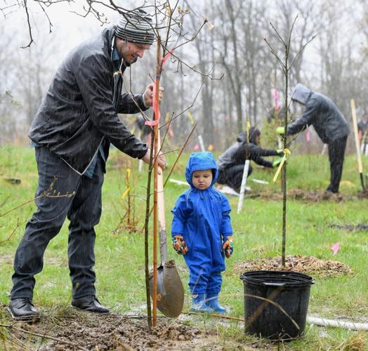 Planting trees to make a difference