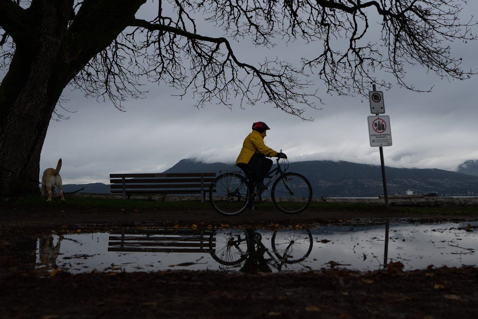 High temperature records fall across B.C. in wake of atmospheric river