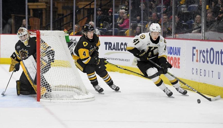 Bulldogs love their Family Days