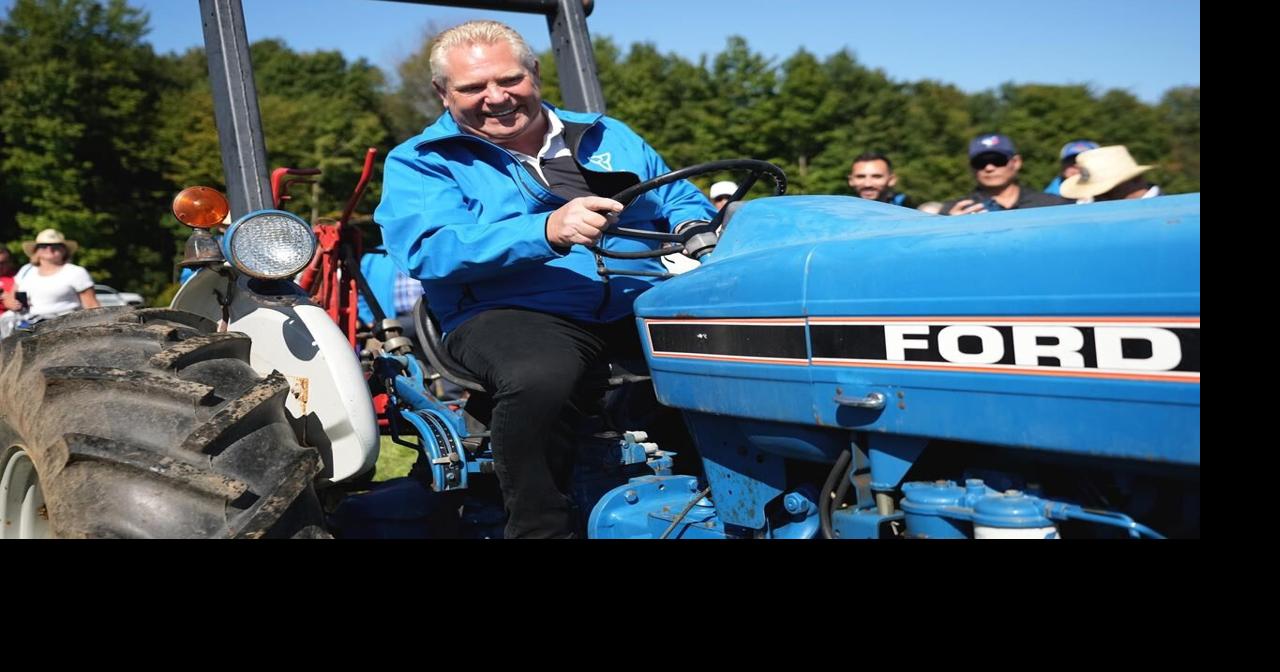 'Insufficient grounds' for full probe into Ford stag and doe: commissioner