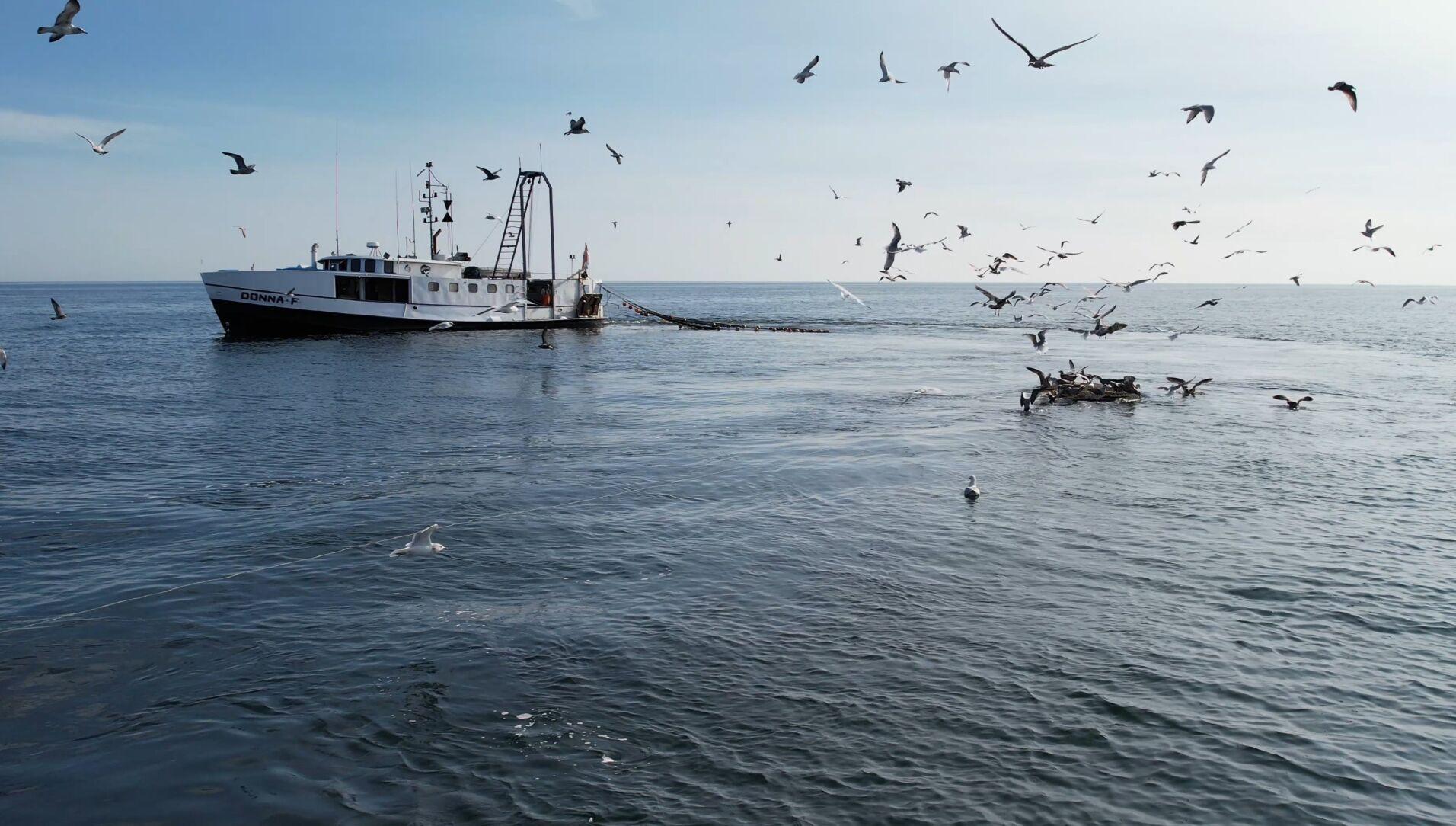 New doc on Port Dover fishery reels in viewers