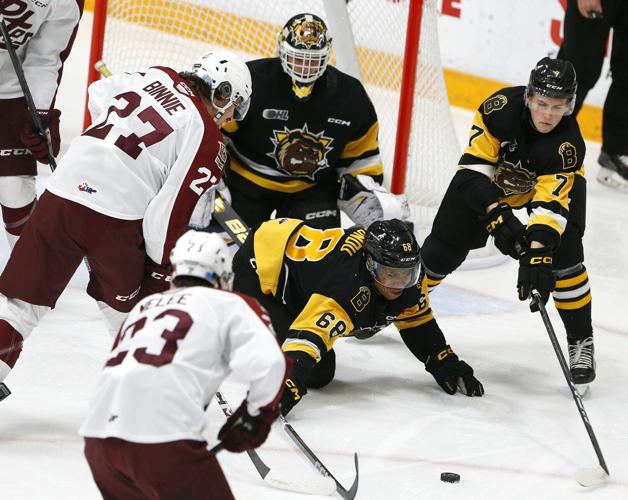 A two-city proposal for the OHL’s Brantford Bulldogs