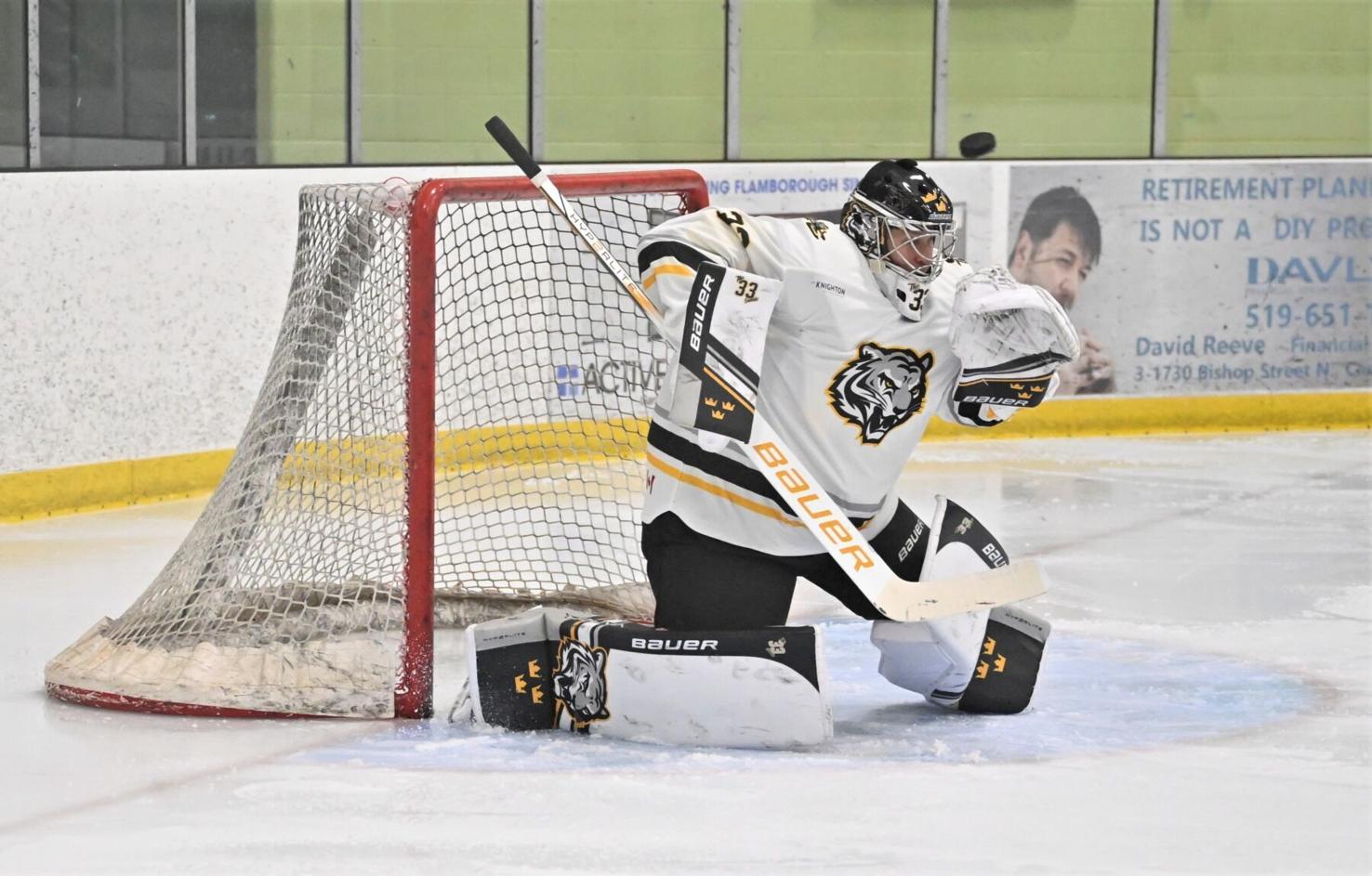 Stoney Creek Tigers like their team so much, they bought it