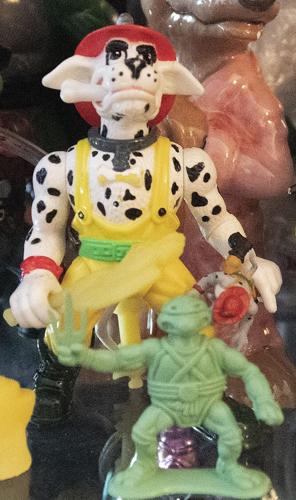 Hamilton man sets record for largest Ninja Turtle collection