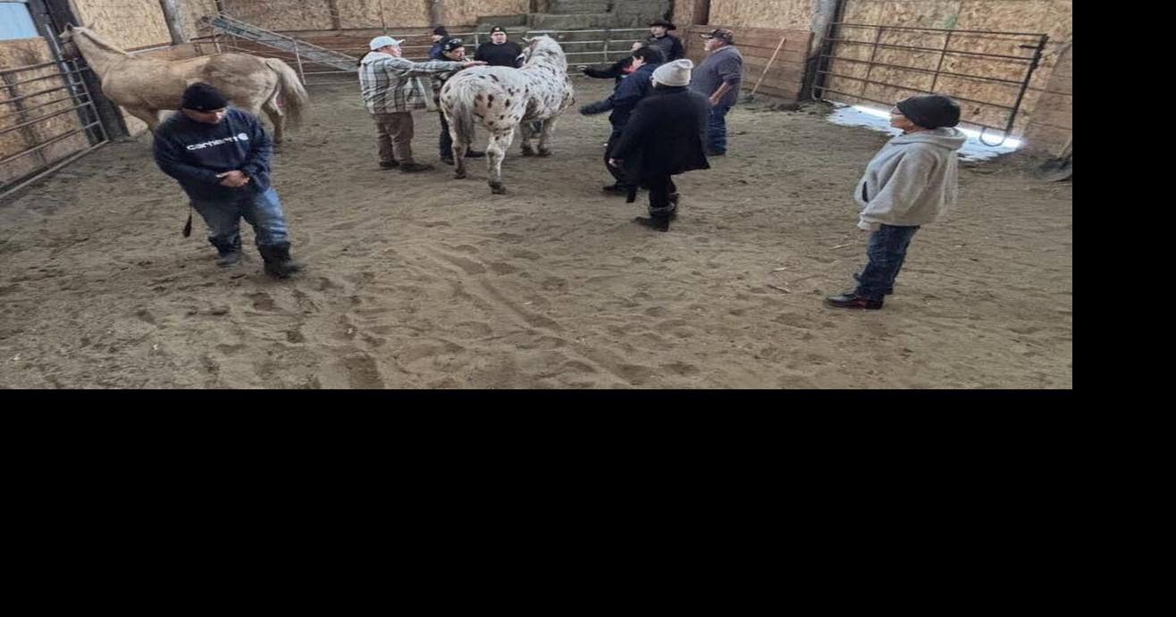 Patrick Buffalo: A Lifetime of Healing, Horses, and the Fight for ...