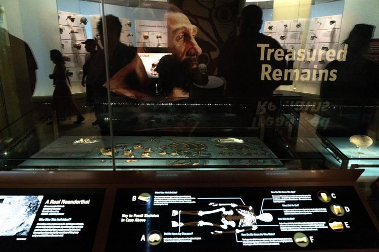 Ancient coupling may have happened more between human females and ...