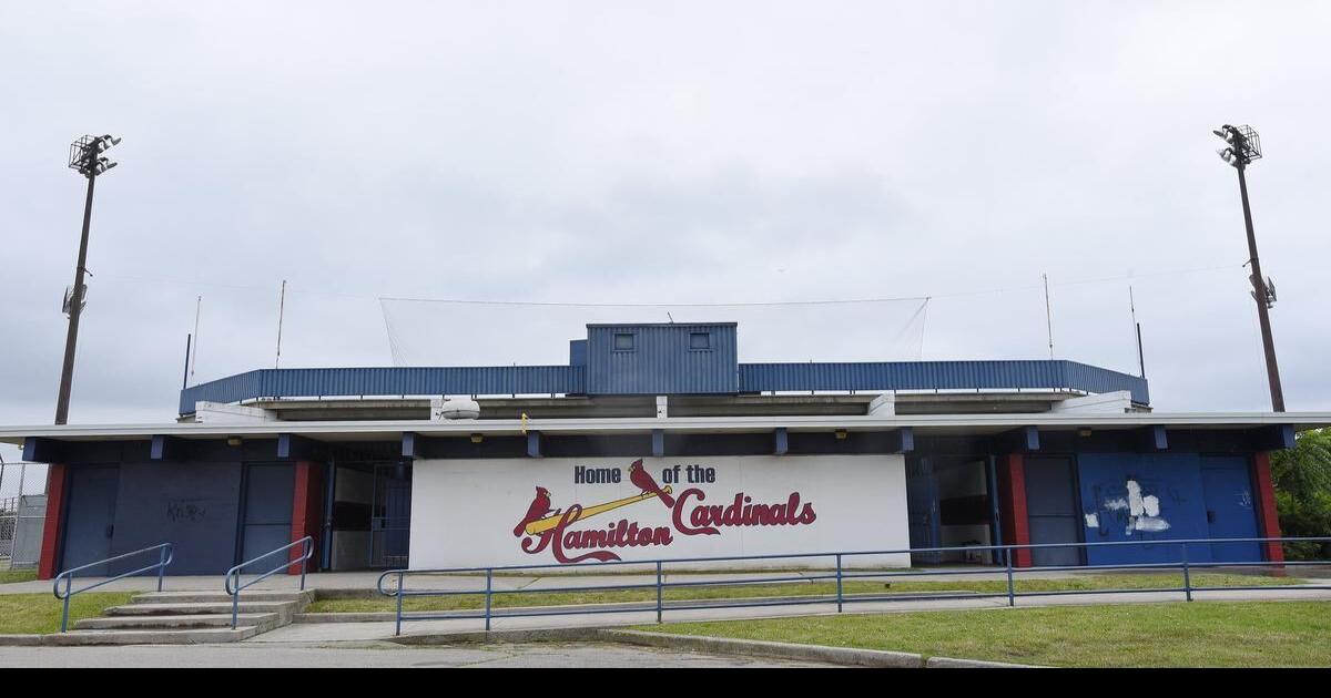 Hamilton’s Bernie Arbour Stadium to get new lighting infrastructure in 2023