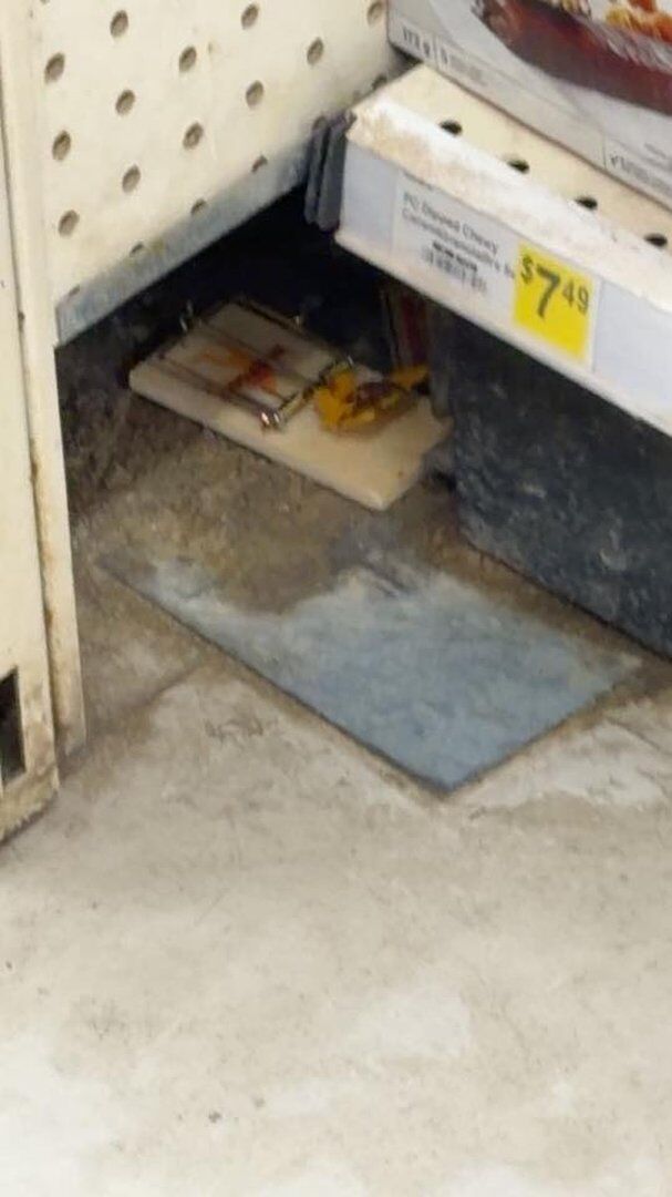 Rodents in Nunavut grocery store is a food safety violation: Territory
