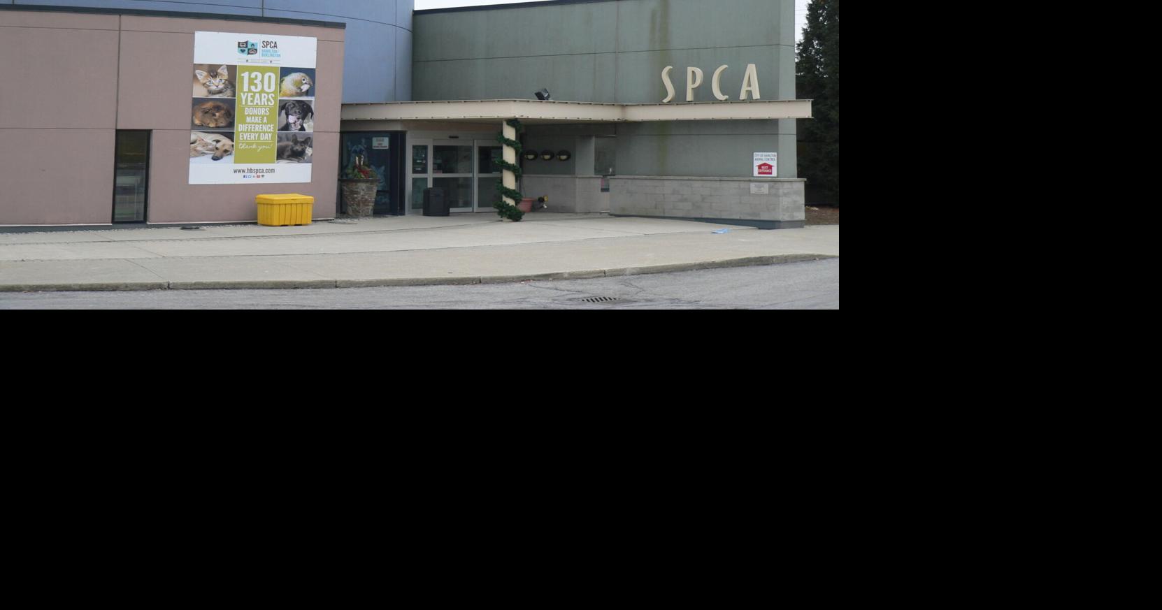 Hamilton’s SPCA will continue to protect animals says CEO