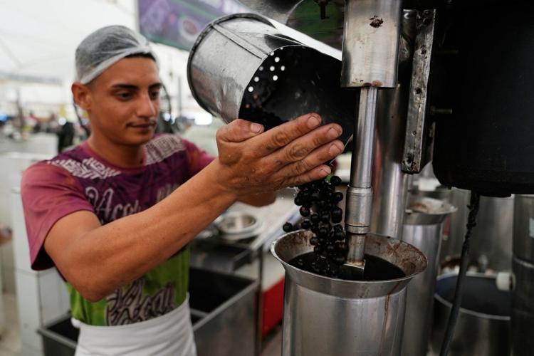 Traditional acai berry dishes surprise visitors to Brazil climate ...