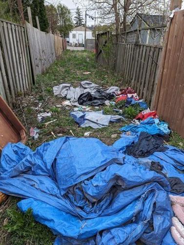 Beautiful Alley volunteers turn out to clean up Hamilton