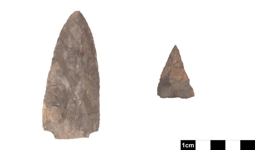 Discovery of ancient arrowheads halts Victoria Park construction