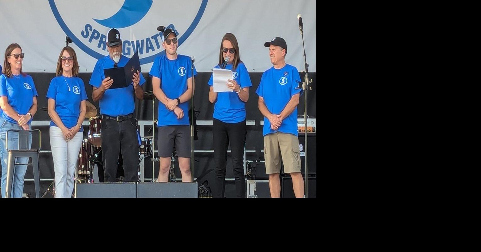 Springwater councillors butt heads over strong mayor powers