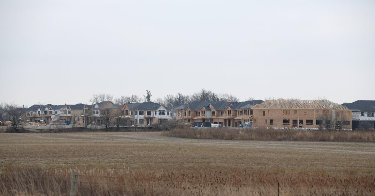 Hamilton to lead ‘comprehensive’ approach to expansion lands