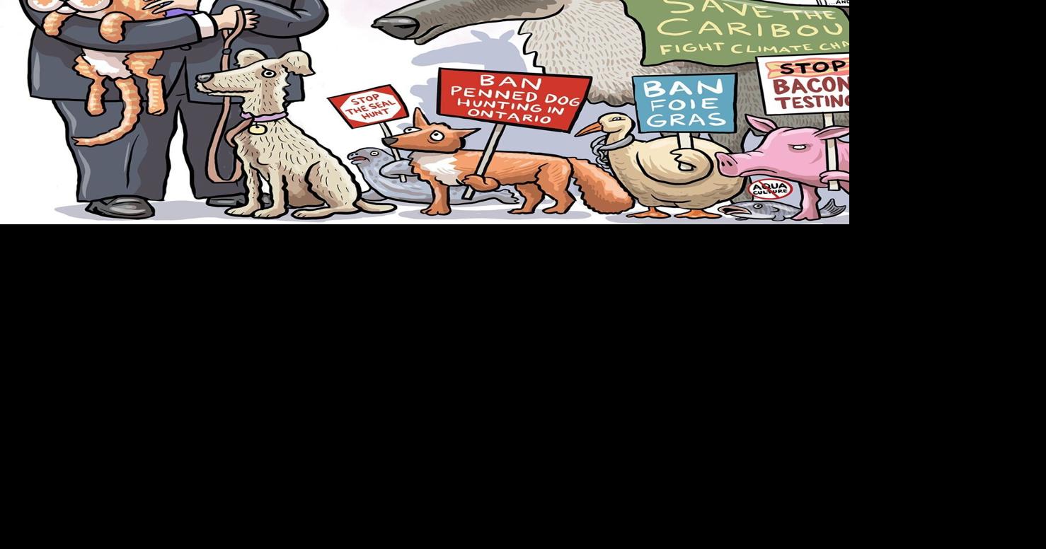 Spectator editorial cartoon