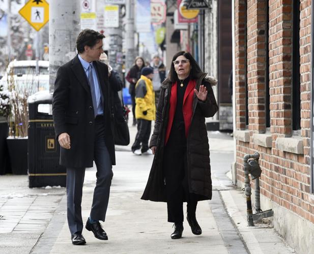 Hamilton MP Filomena Tassi will not run for re-election