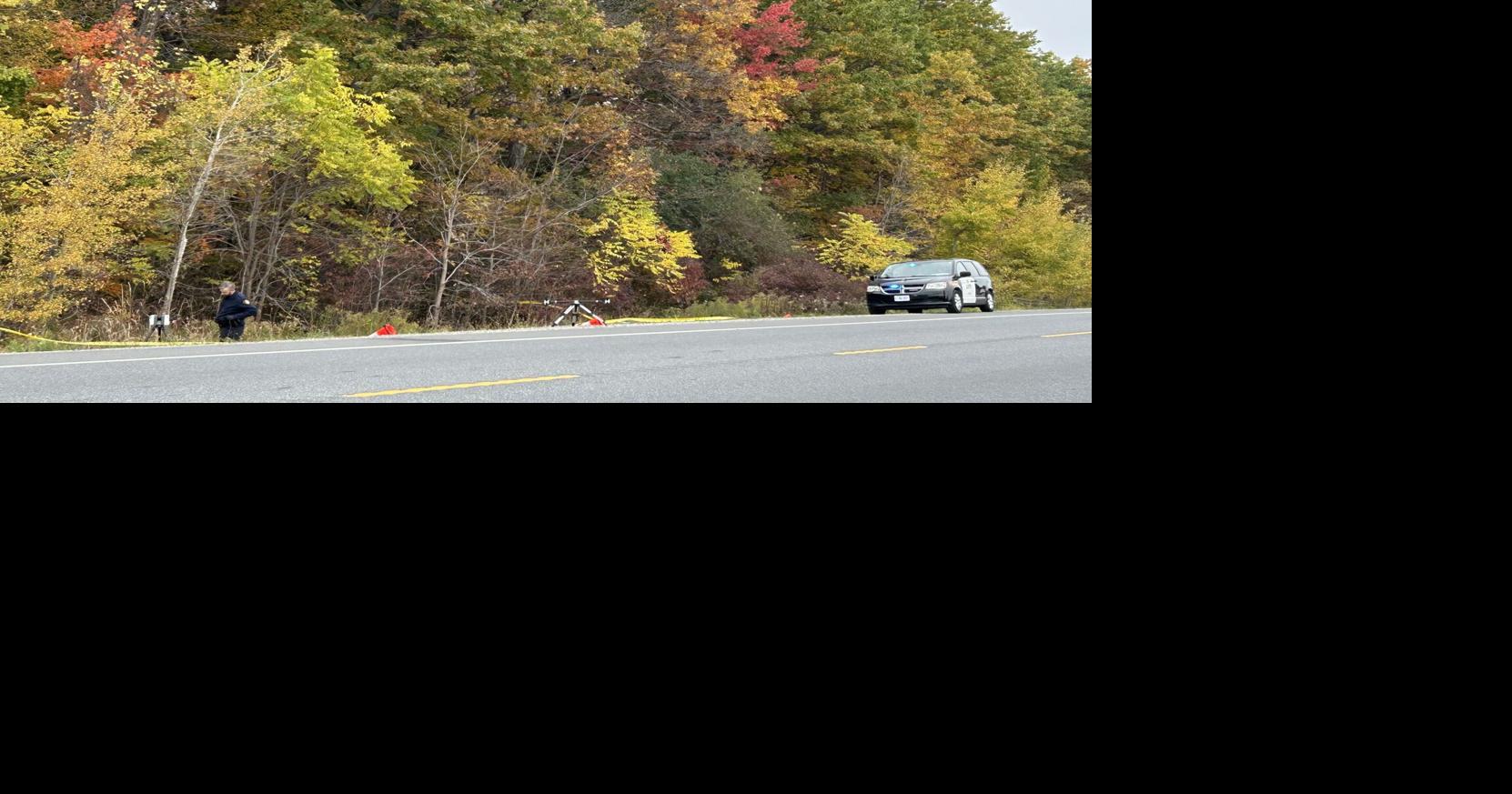 Human remains found in woods tied to Simcoe homicide: OPP