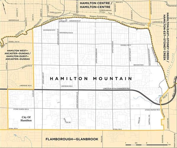 Who is running in Hamilton Mountain