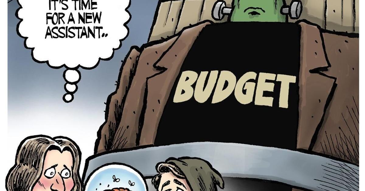 2022: The year in cartoons