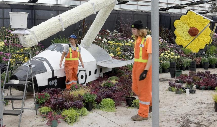 Lets talk about Hamilton’s fall Mum Show — again