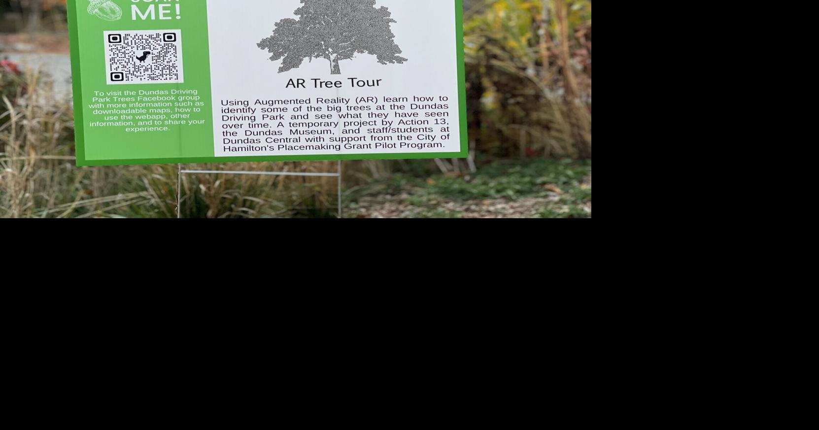 Dundas Driving Park augmented reality big historic tree tour launches ...