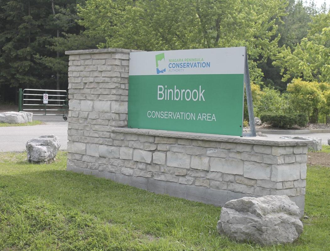 Binbrook Conservation Area to have treetop trekking courses