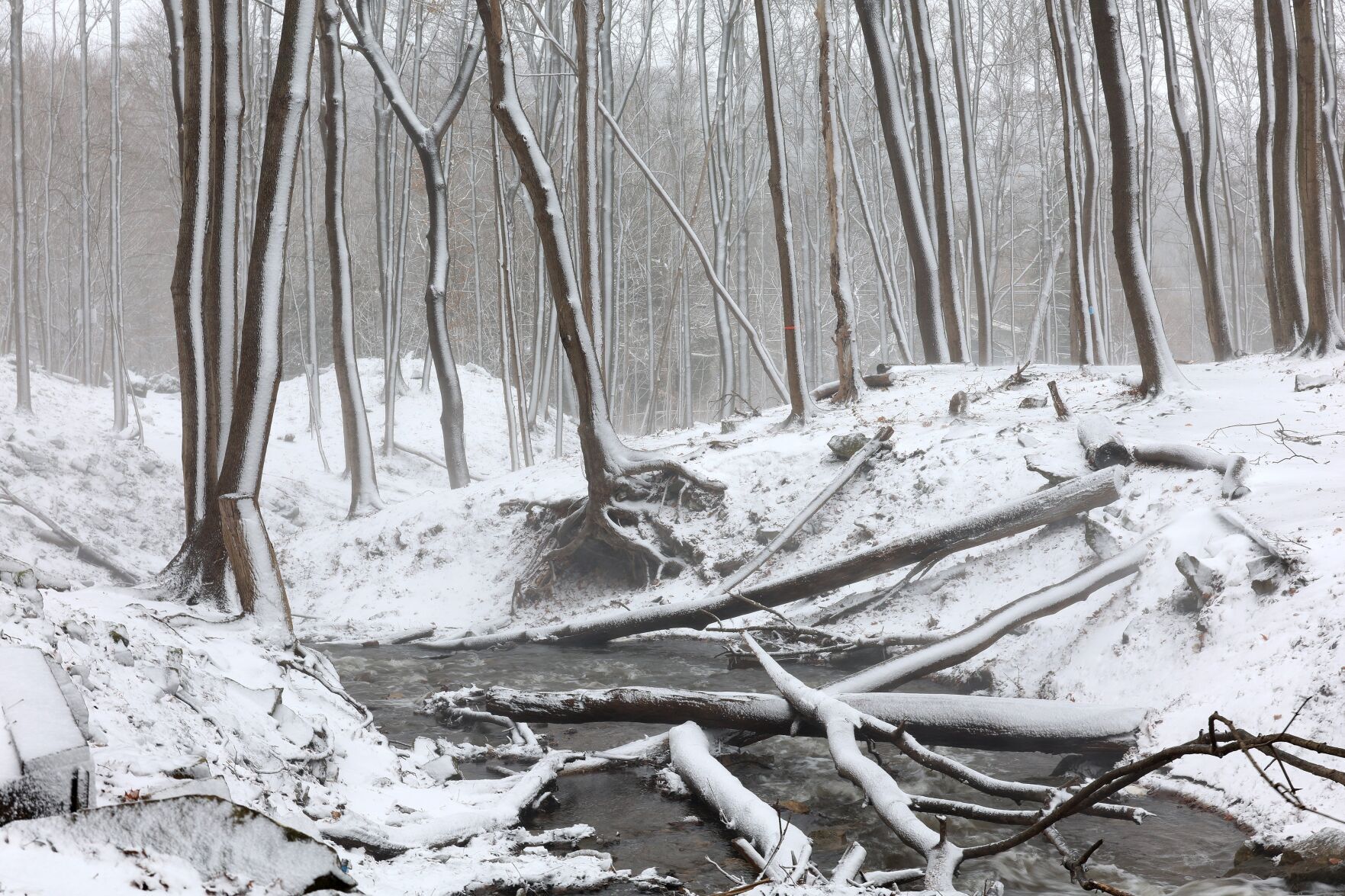 Hamilton-area Today: Local news this morning